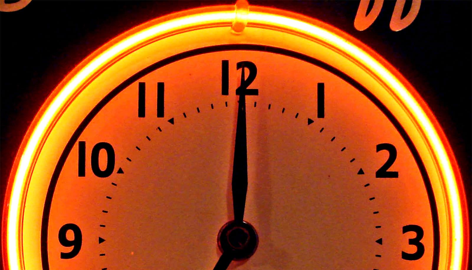 The malaria parasite has its own internal clock - Futurity
