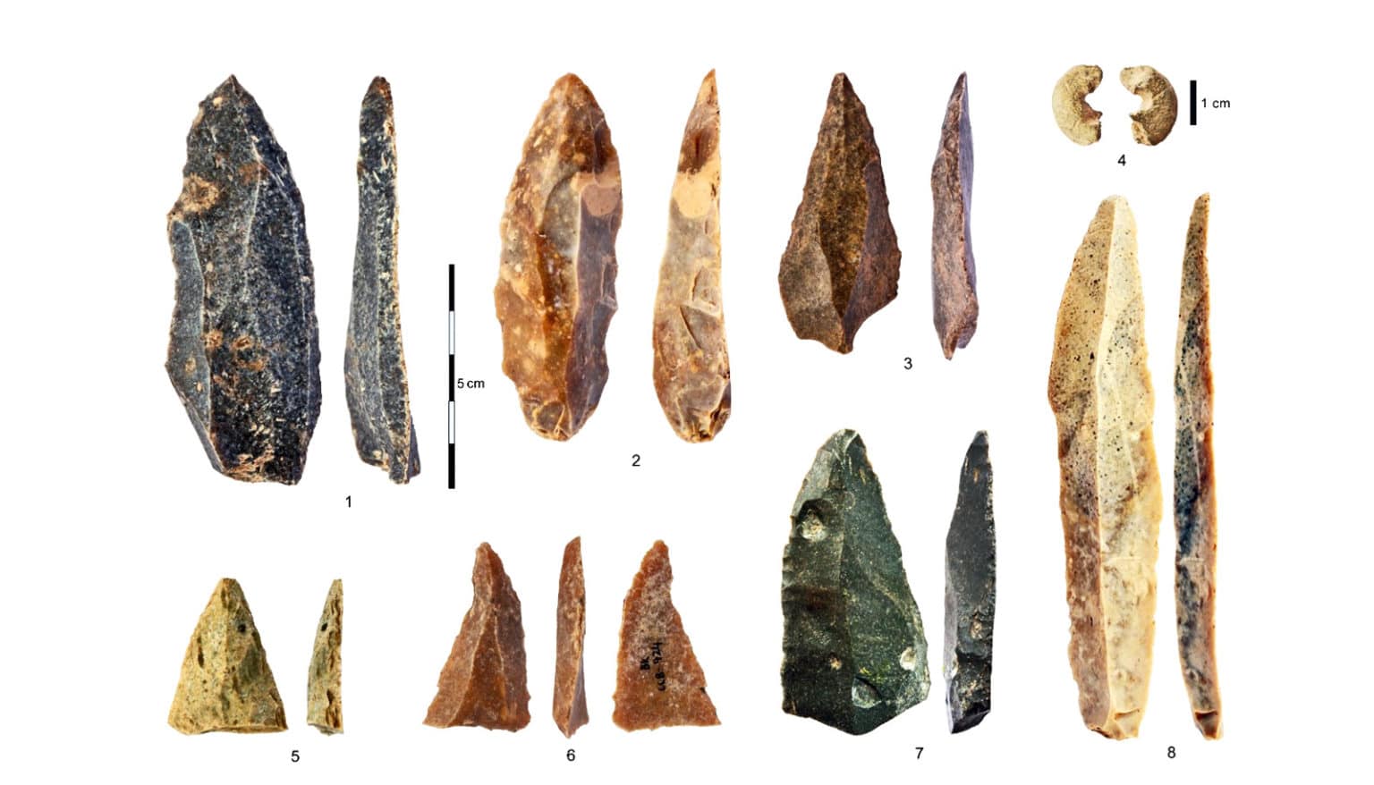 Great Facts: ‘Modern’ tools weren’t from Neanderthals, after all