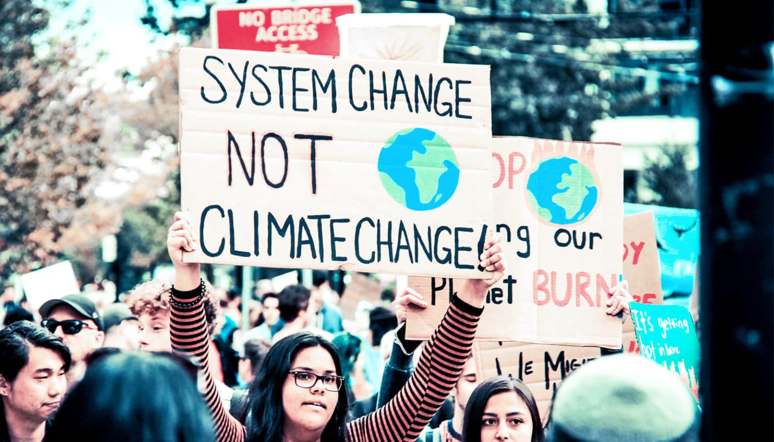 environmental-ngos_1600 - Futurity environmental-ngos_1600 - Futurity