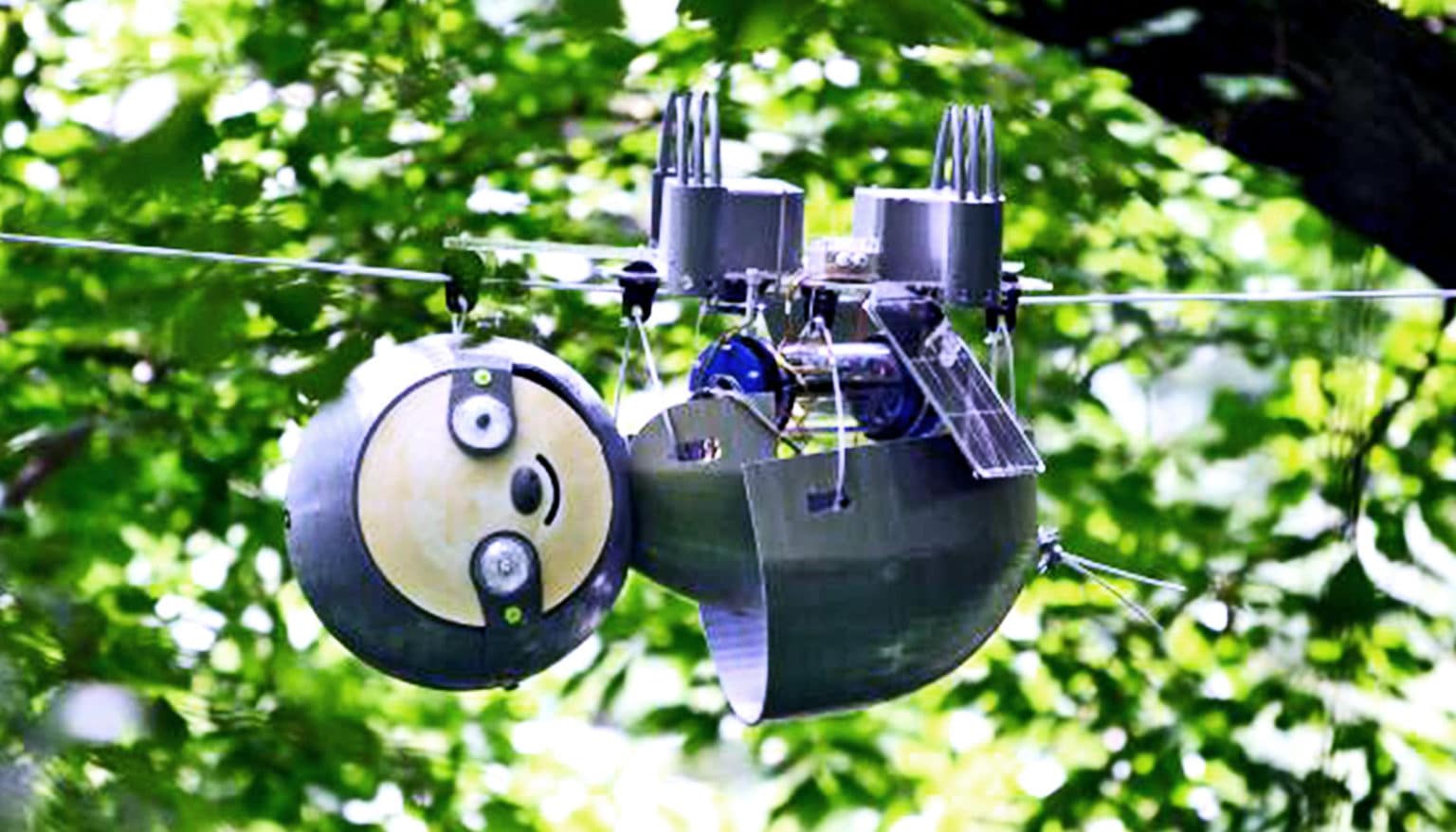 Great Facts: Sloth robot is a very cute way to boost conservation