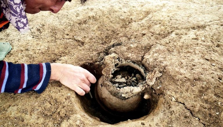 Great Facts: Method may solve mysteries of ancient human ashes in urns