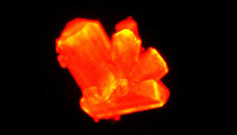Great Facts: Squeezing curium between diamonds yields a surprise