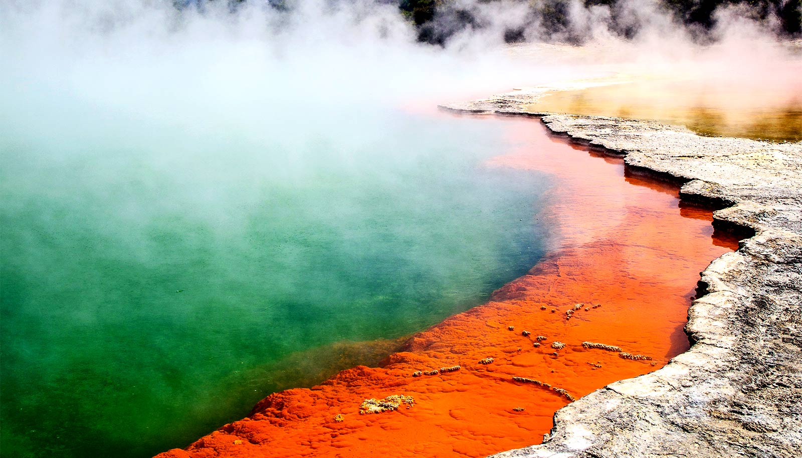 Great Facts: Did early humans cook with hot springs before fire?