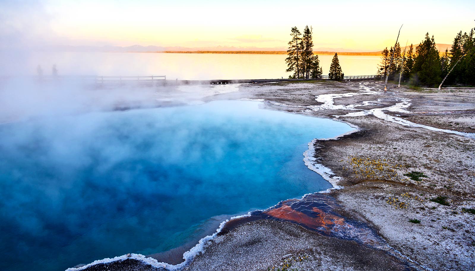 Hot springs microbes 'recycle' dead plants and don't release methane ...