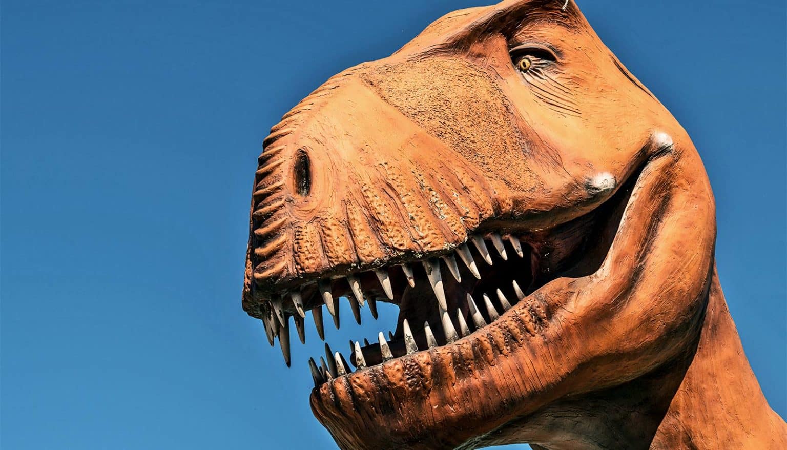 t-rex-tyrannosaurus-rex-bite-force-1600 - Futurity