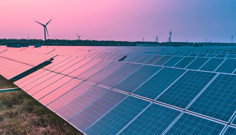 perovskite-solar-cells-1600 - Futurity