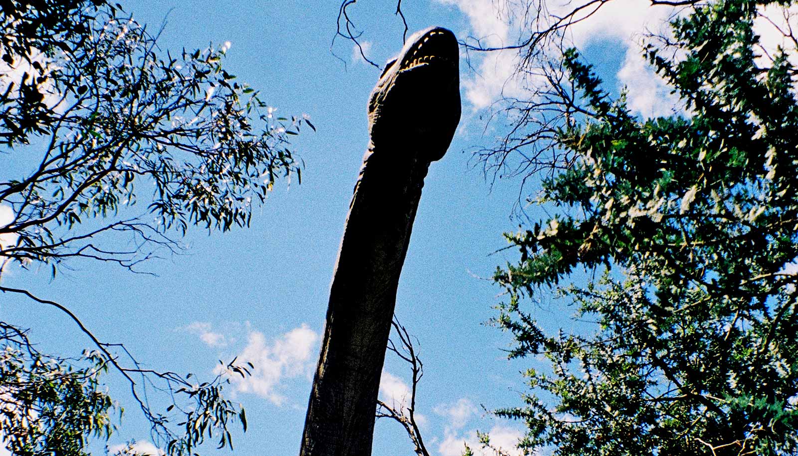 Long-necked dino is a new branch on the sauropod family tree - Futurity