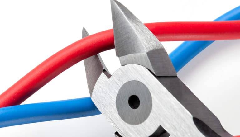 Can stopping executioner molecule save nervous system wiring?