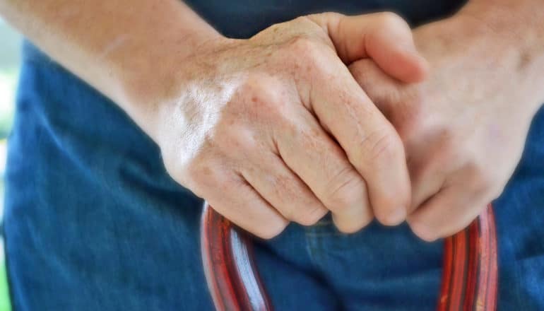 Why stem cell transplants for MS work so well