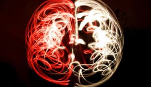 fluorescent-dye-brains-1600 - Futurity