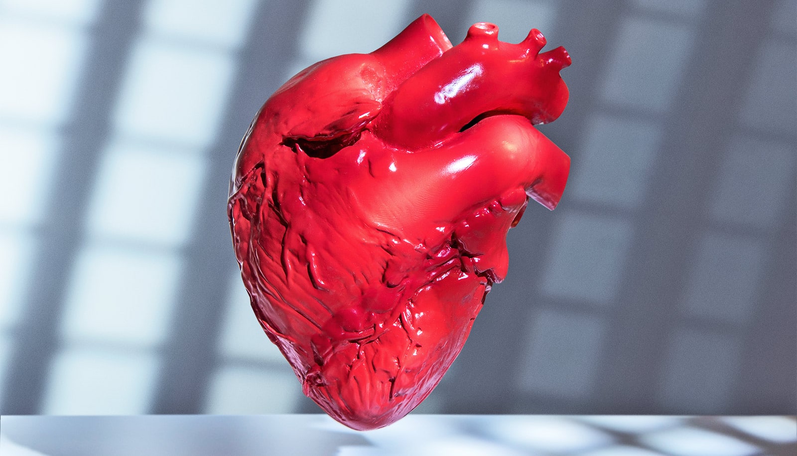 Heart shape may be a sign of cardiac disease risk - Futurity