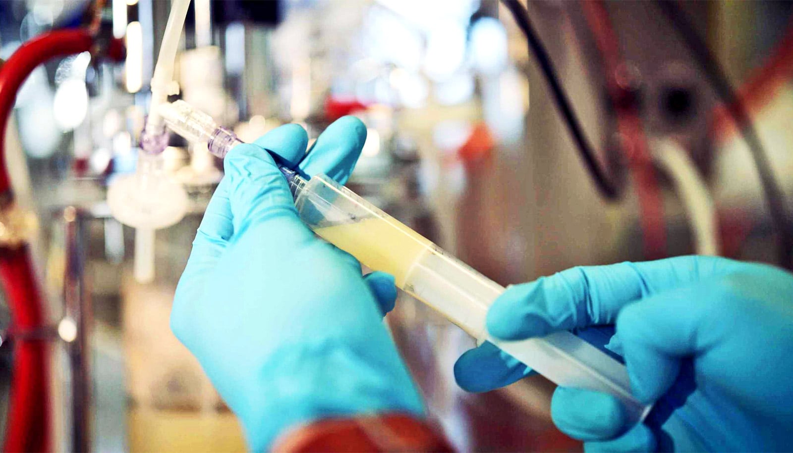 Bacteria could replace fossil fuels for making valuable chemicals ... Bacteria could replace fossil fuels for making valuable chemicals ...