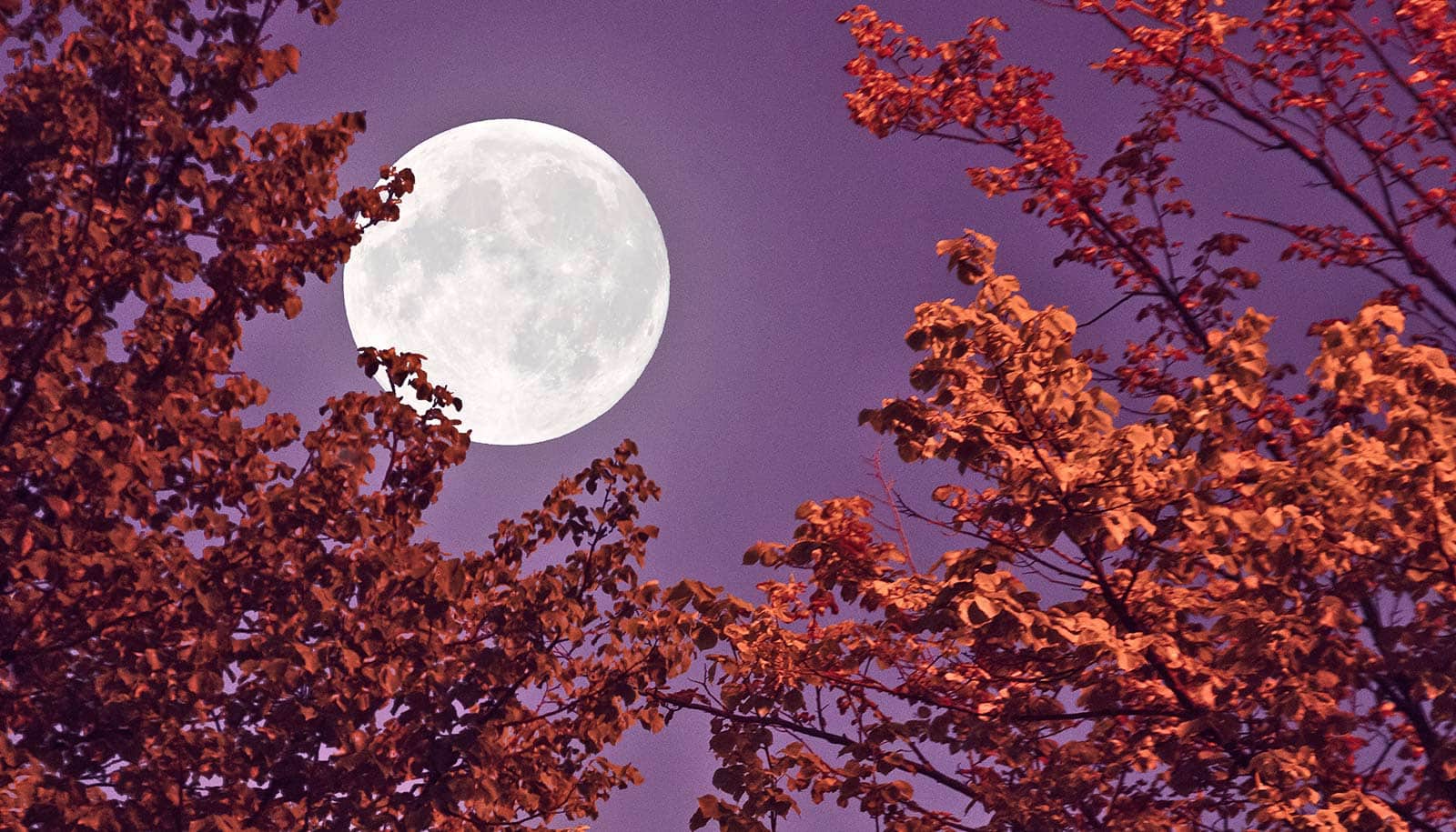 Samples from the moon reveal scary risks to astronauts - Futurity