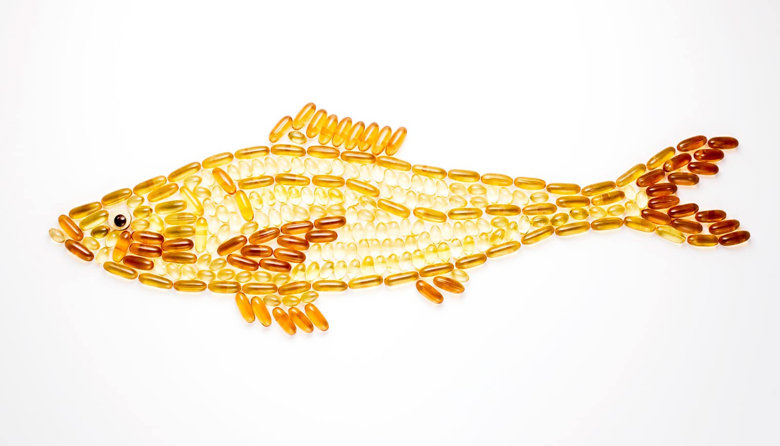 Fish oil may counter high cholesterol risk - Futurity