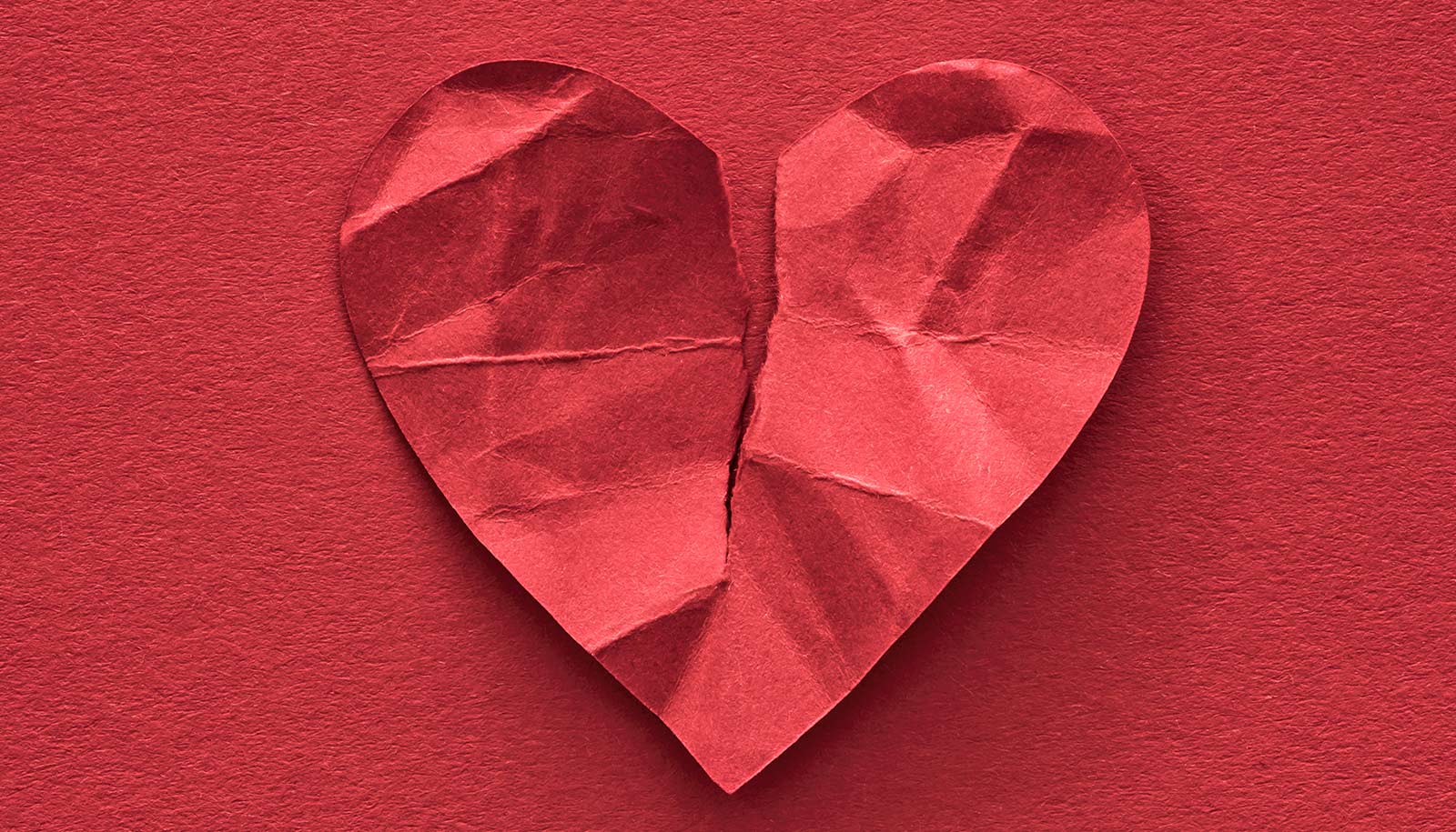 Patch could repair damage after a heart attack - Futurity